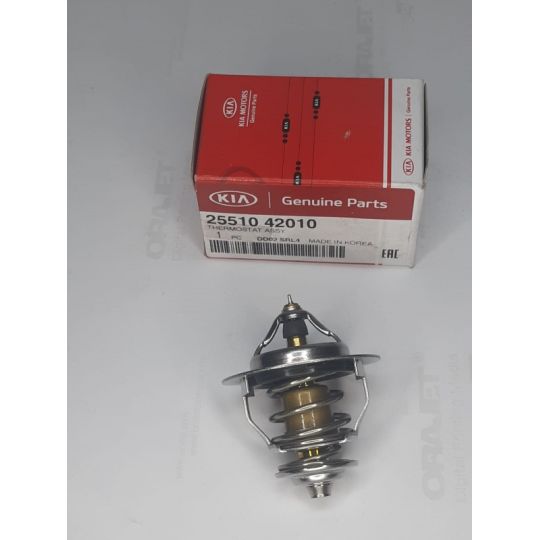 H 100 TERMOSTAT 2551042010